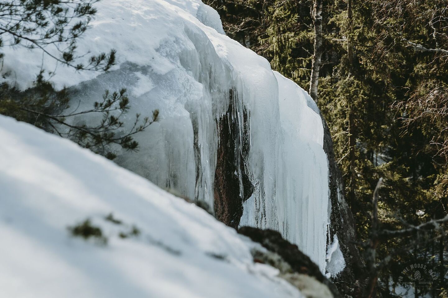 Repovesi National Park in Winter – Snowy Forests and Silence - In the ...
