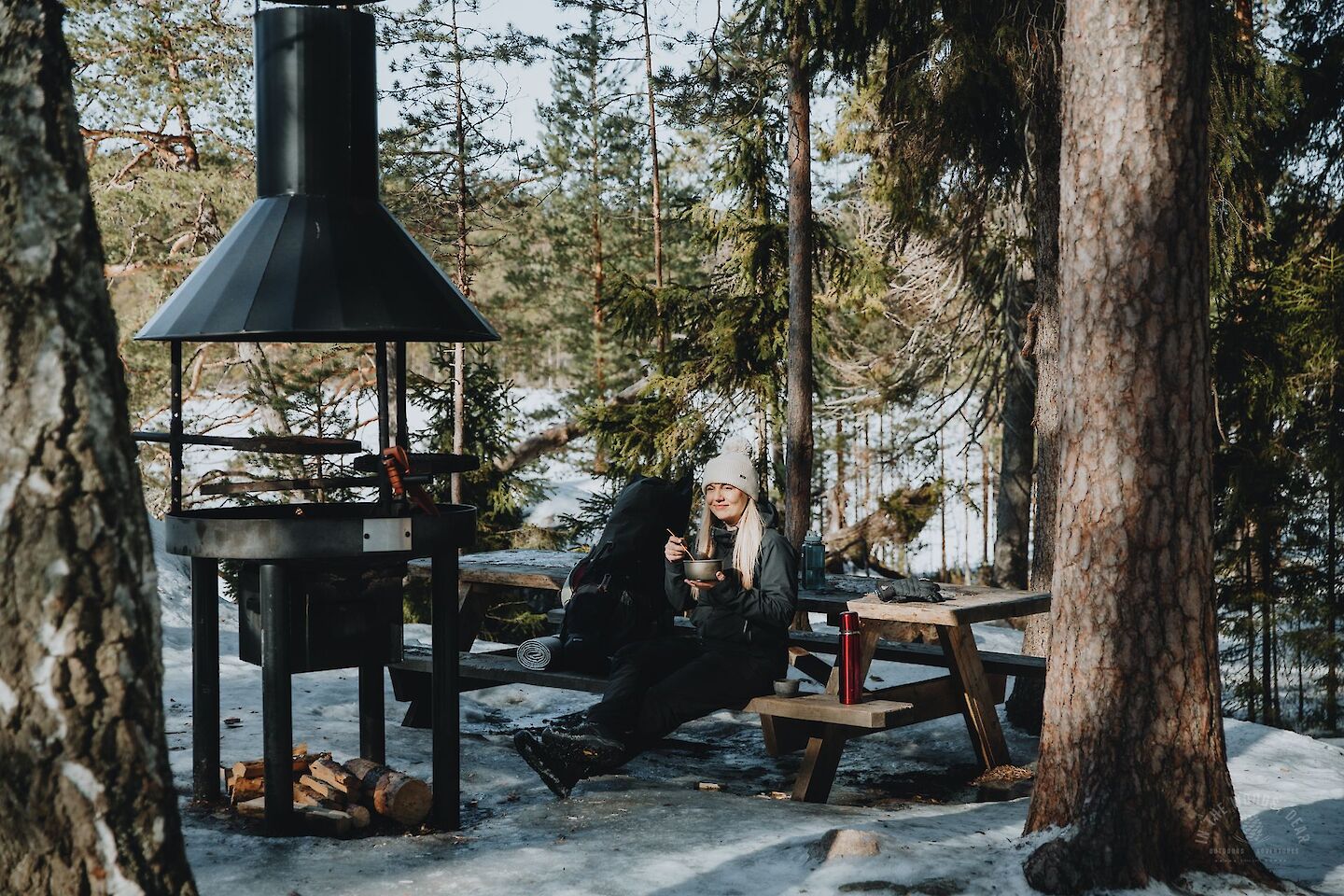 Repovesi National Park in Winter – Snowy Forests and Silence - In the ...