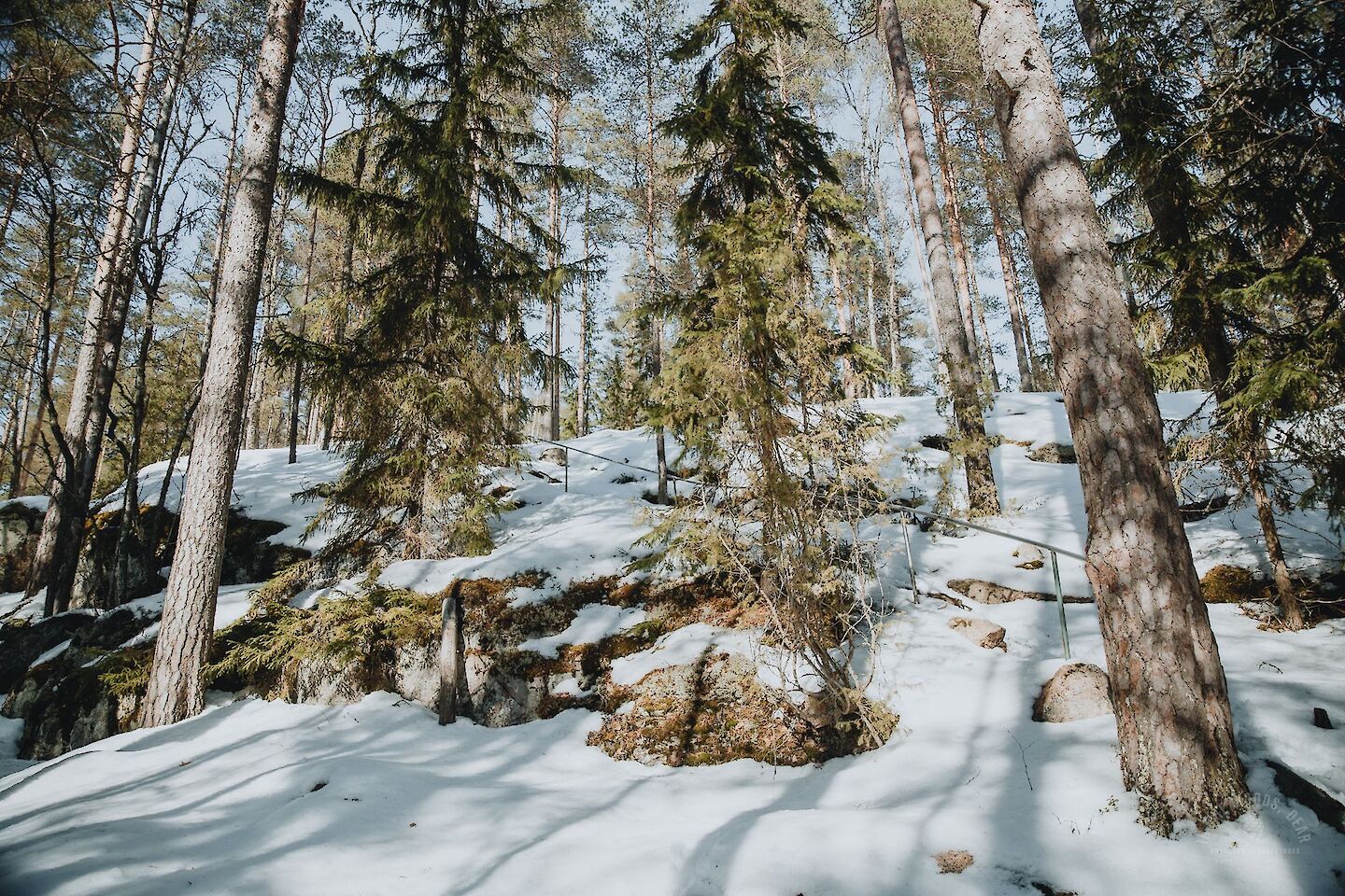 Repovesi National Park in Winter – Snowy Forests and Silence - In the ...