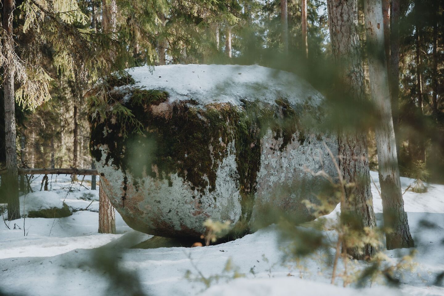 Repovesi National Park in Winter – Snowy Forests and Silence - In the ...