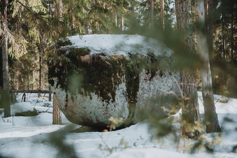 Repovesi National Park in Winter – Snowy Forests and Silence - In the ...