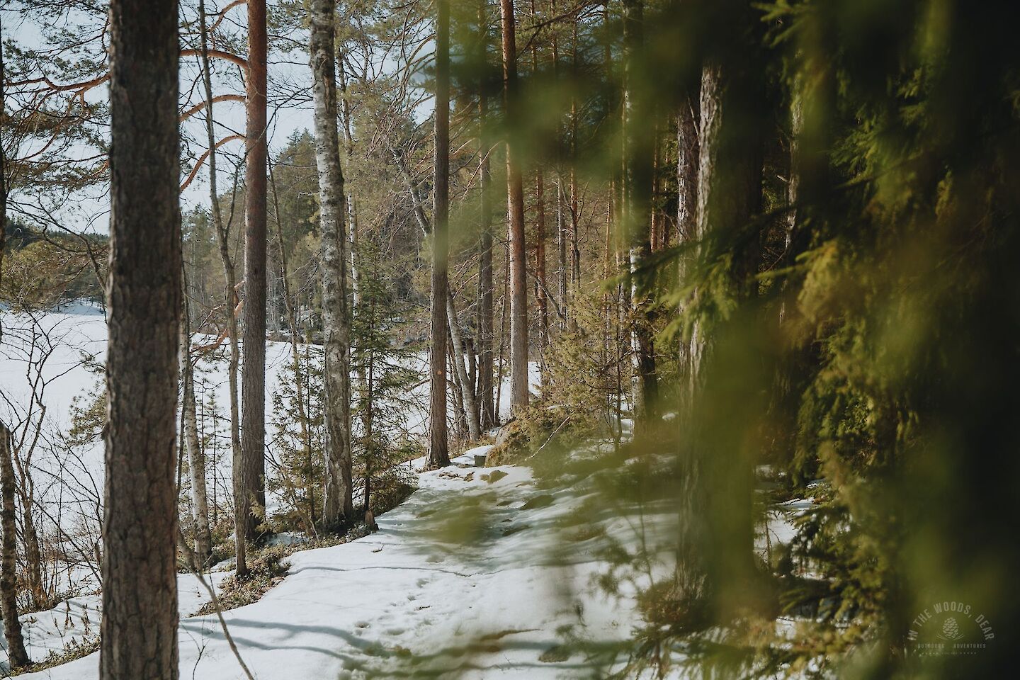 Repovesi National Park in Winter – Snowy Forests and Silence - In the ...
