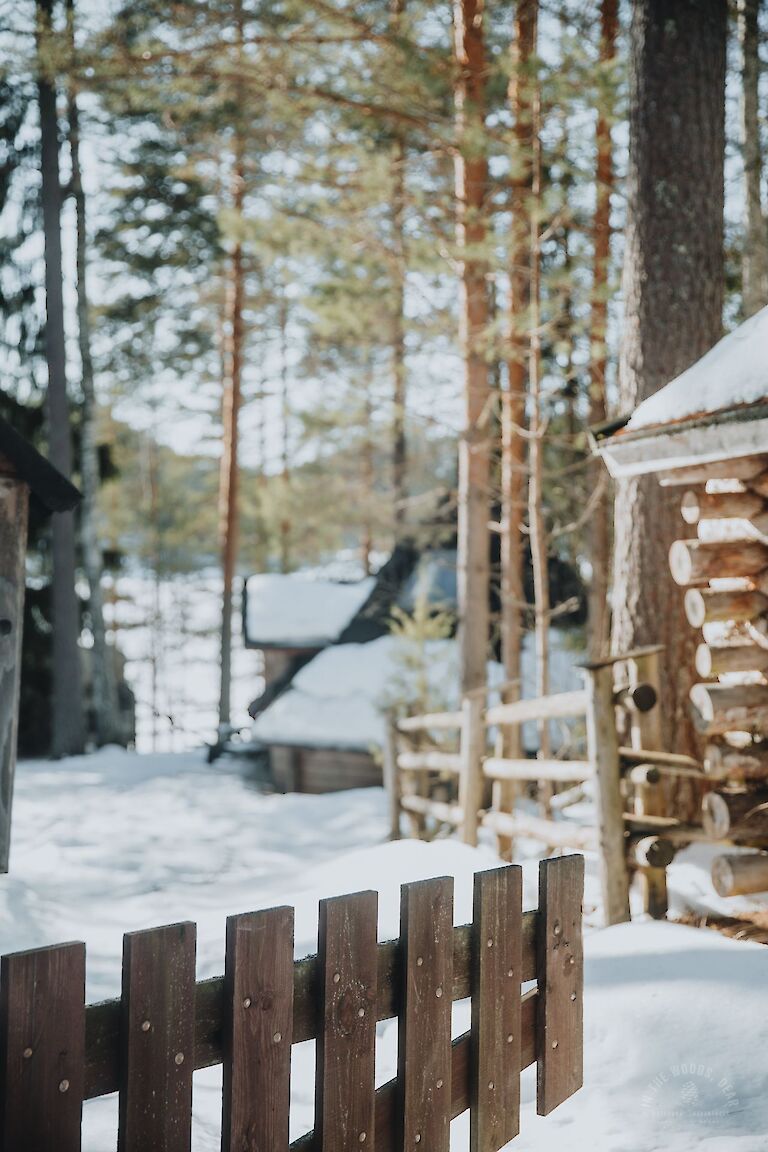 Repovesi National Park in Winter – Snowy Forests and Silence - In the ...