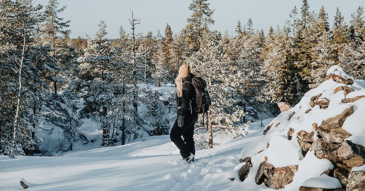 Hiking Near Helsinki: Sipoonkorpi National Park in Winter - In the ...