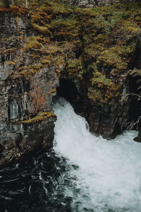 Abisko Canyon - Swedish Lapland Hikes - In the Woods, Dear