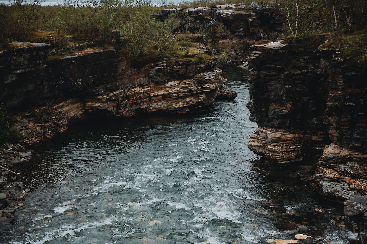 Abisko Canyon - Swedish Lapland Hikes - In the Woods, Dear