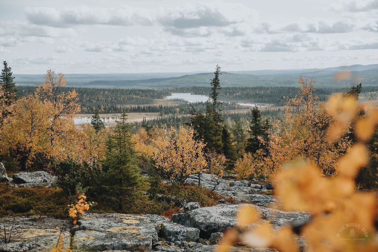 Sallatunturi in Lapland - Above Fells and Ancient Forests - In the ...