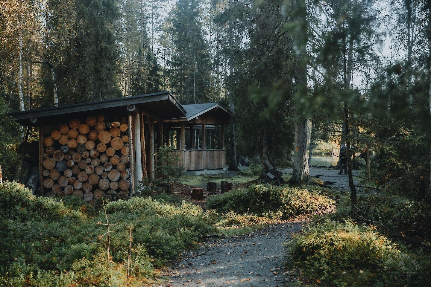 Pieni Karhunkierros (Small Bear's) Trail near Ruka Finland - In the Woods, Dear