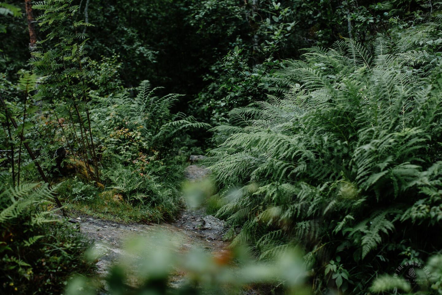 Husedalen Valley - Best Waterfalls Hike Near Bergen Norway - In the ...