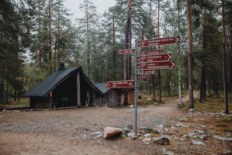 Pyhä-Luosto National Park: Isokuru & Karhunjuomalampi Trail - In the ...