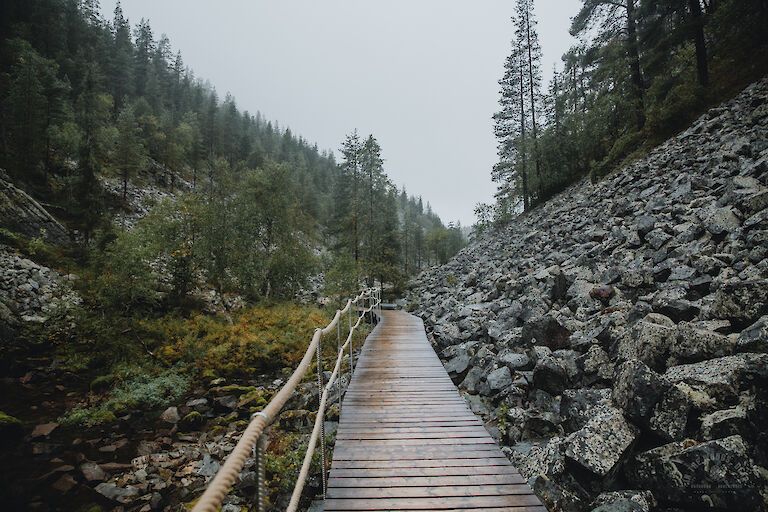 Pyhä-Luosto National Park: Isokuru & Karhunjuomalampi Trail - In the ...