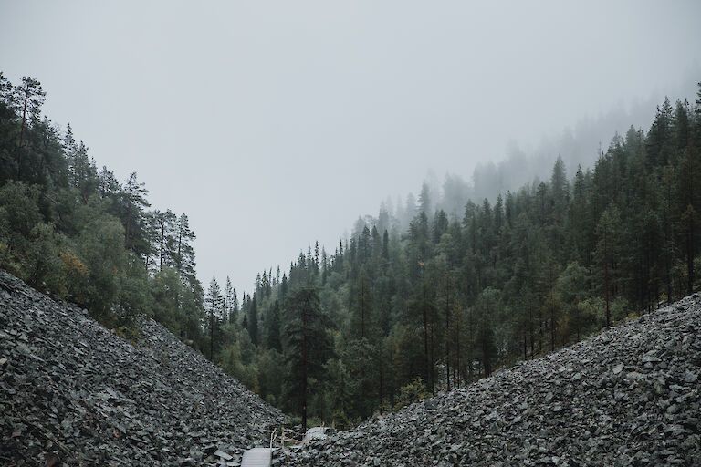 Pyhä-Luosto National Park: Isokuru & Karhunjuomalampi Trail - In the ...