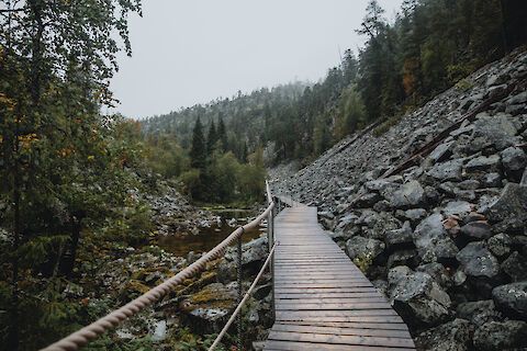 Pyhä-Luosto, Lapland - Isokuru & Karhunjuomalampi - In the Woods, Dear