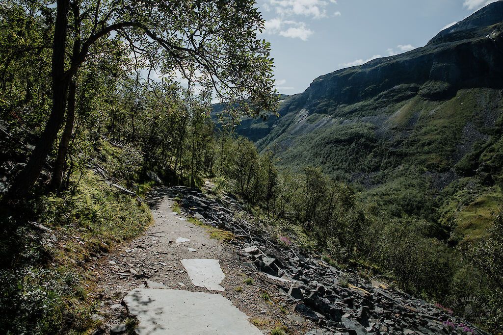 Gorsabrua - Bridge Above 153m Canyon, Birtavarre Norway - In the Woods ...