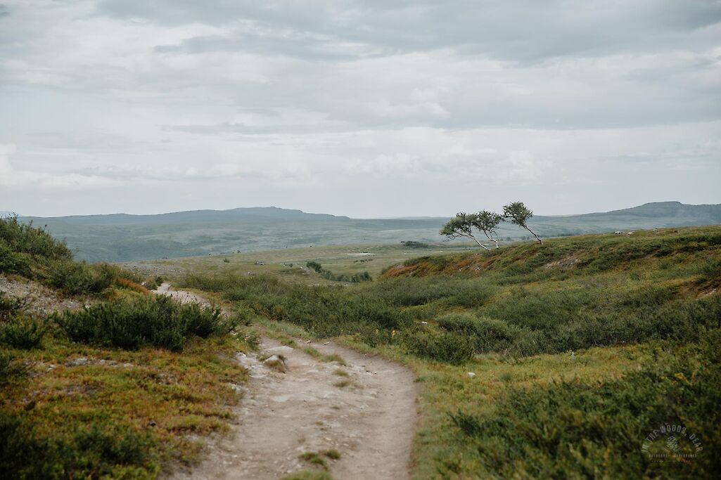 Alta Canyon - An Amazing Hike to Sautso, Norway - In the Woods, Dear