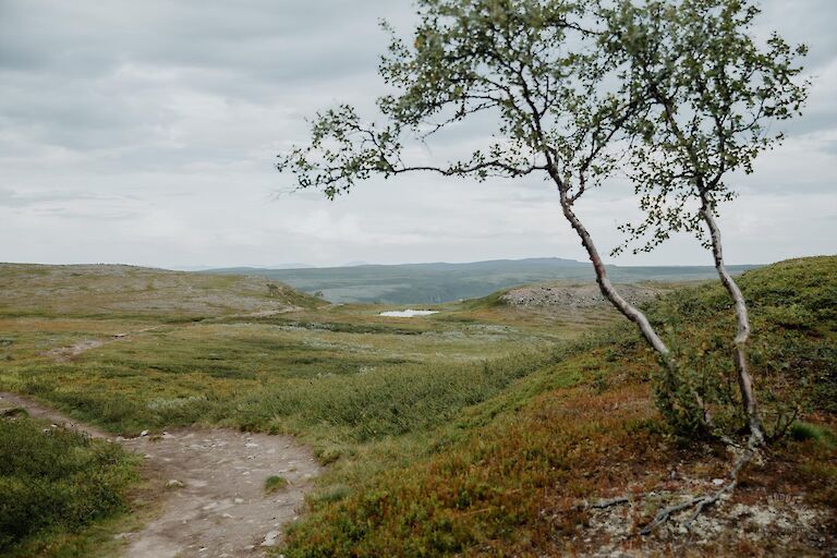 Alta Canyon - An Amazing Hike to Sautso, Norway - In the Woods, Dear