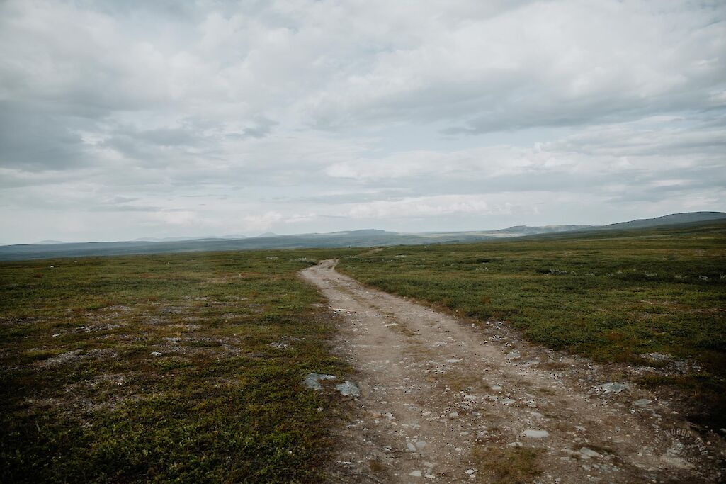Alta Canyon - An Amazing Hike to Sautso, Norway - In the Woods, Dear