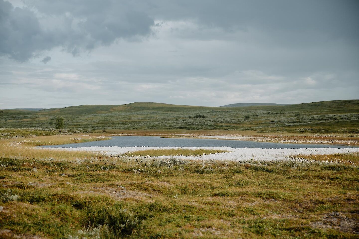 Alta Canyon - An Amazing Hike to Sautso, Norway - In the Woods, Dear